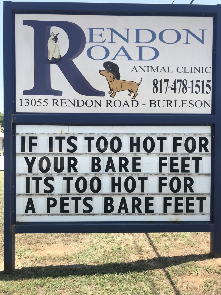 Our Sign | Rendon Road Animal Clinic
